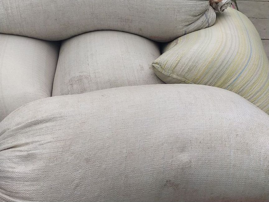 Пшеница, овёс, ячмень, дробленка для несушек