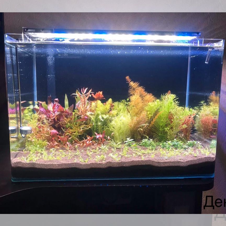 Аквариум dophin 86л