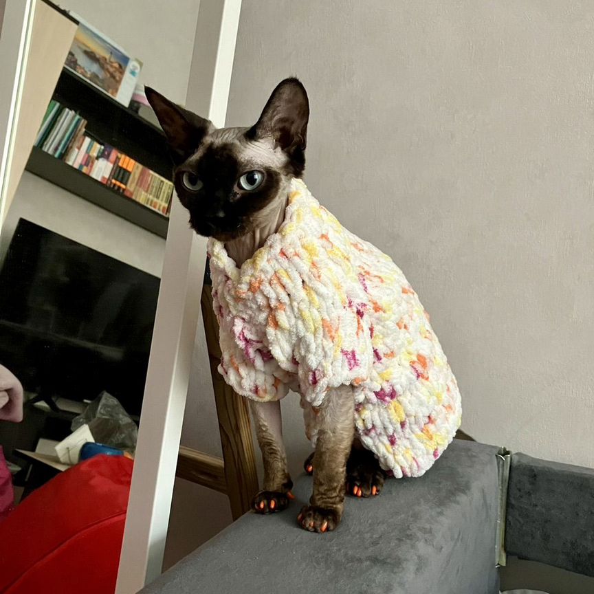 Свитер для кошки сфинкс