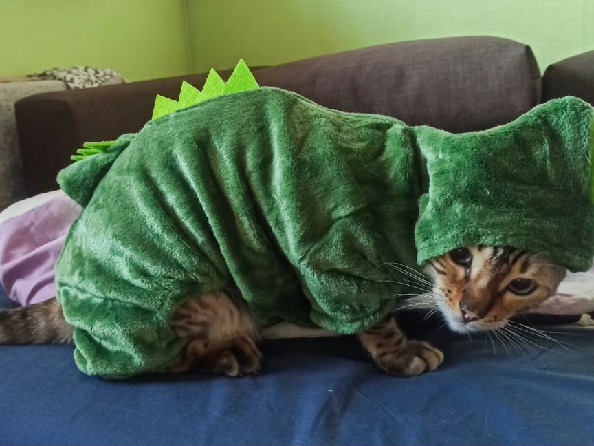 Костюм для собаки, кота, костюм динозавра