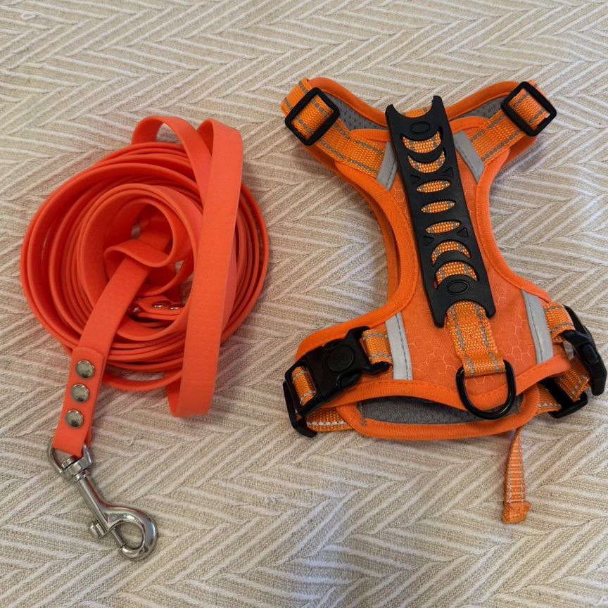 Поводок и шлейка для маленькой собаки