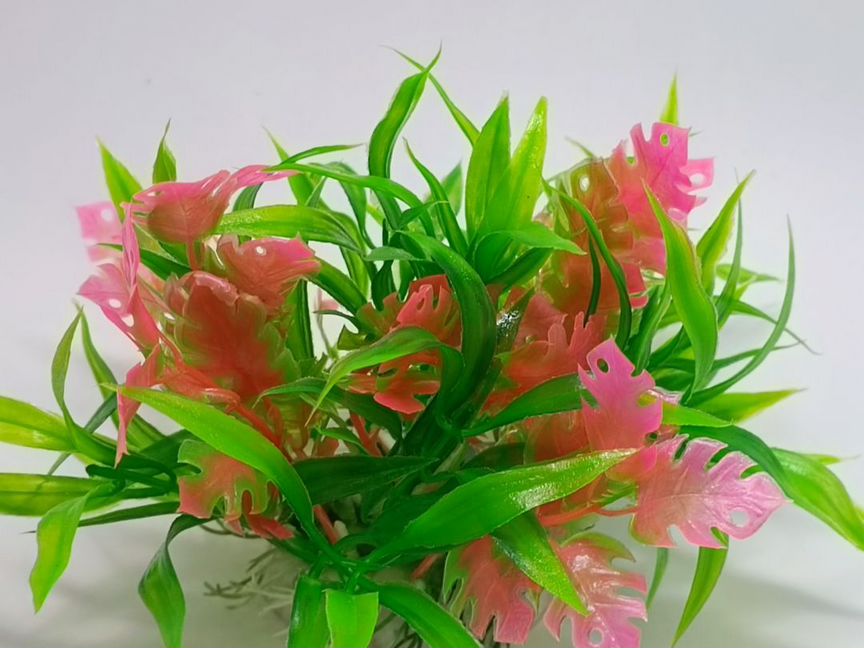 Растения для аквариума, декор для аквариума