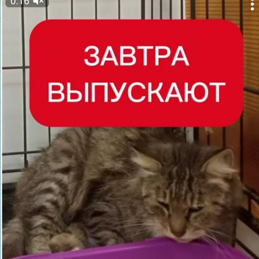 В этих глазах боль.Завтра выпуск на улицу