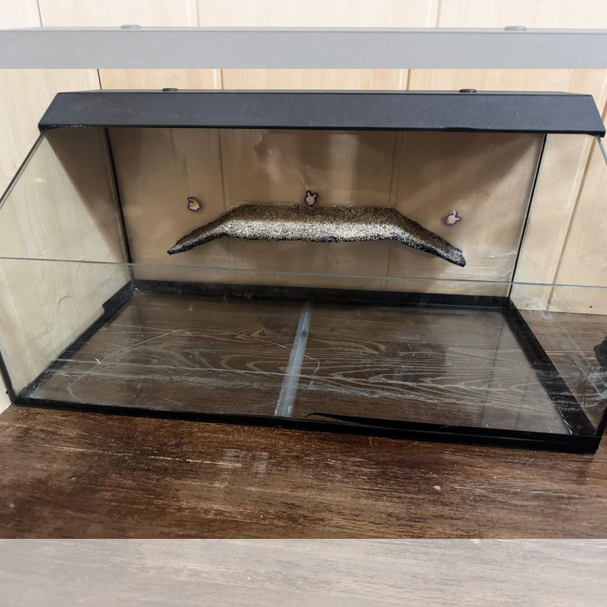 Аквариум для черепашки