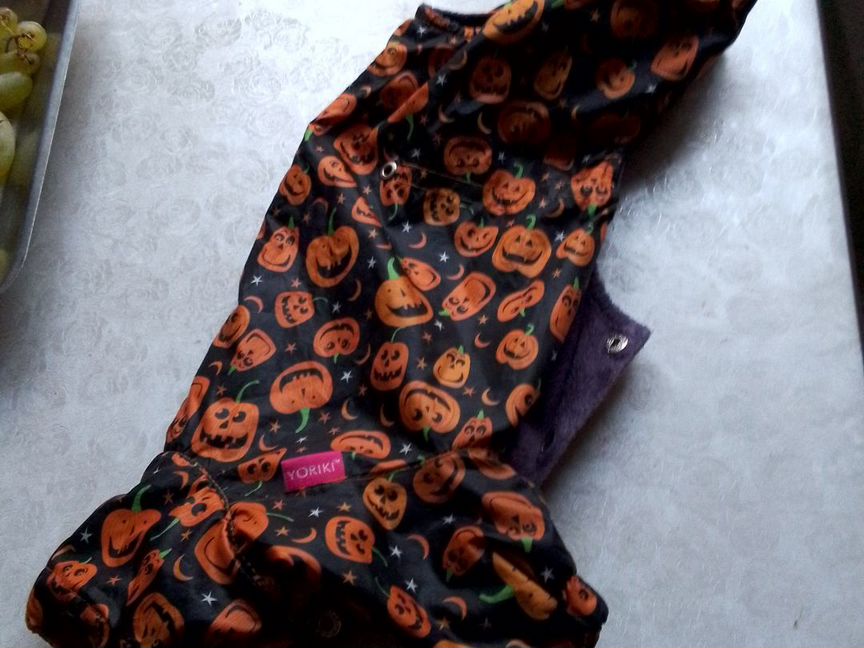 Комбинезон демисезонный