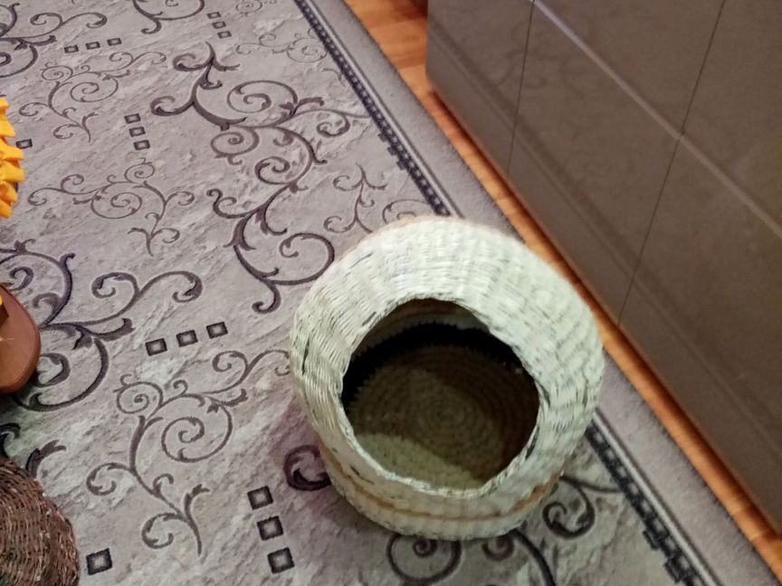 Кошачий домик