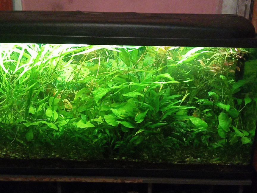 Аквариум 270 л