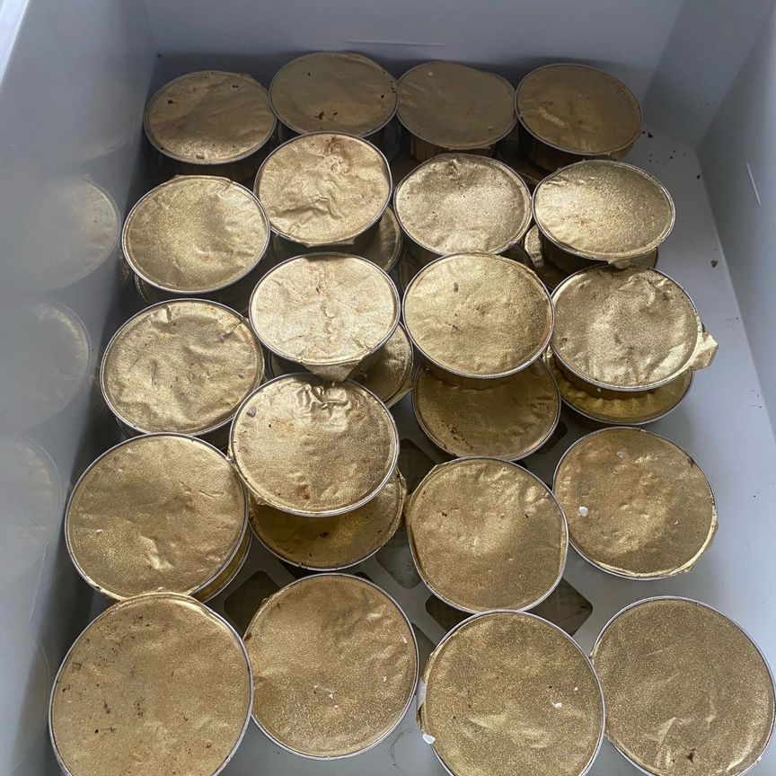 Артемия пастеризованная