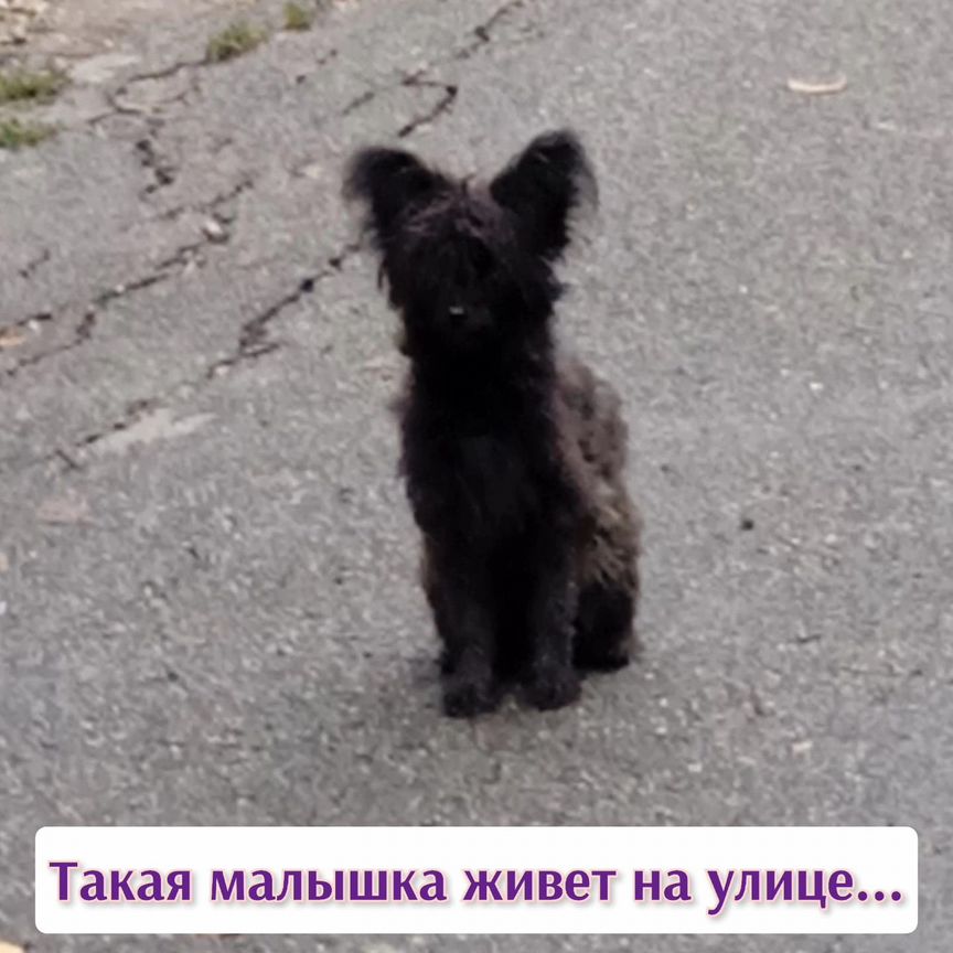 Спасите малышку