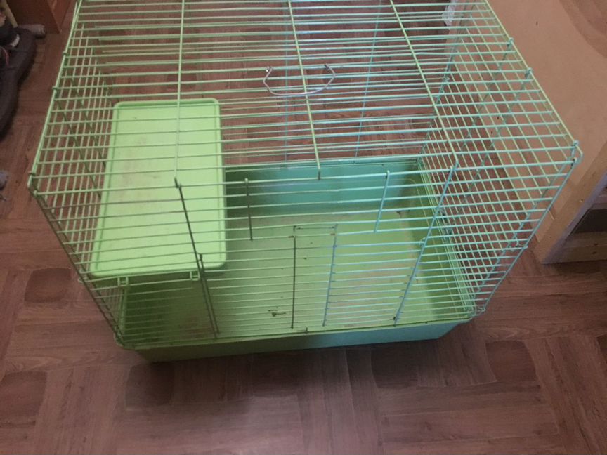 Клетки