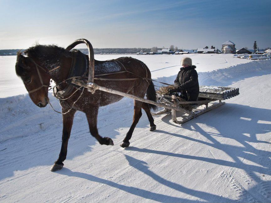 Продам сани для лошади
