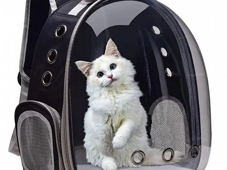 Переноска для кошек и собак пластиковая