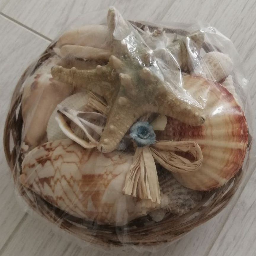 Набор морских ракушек