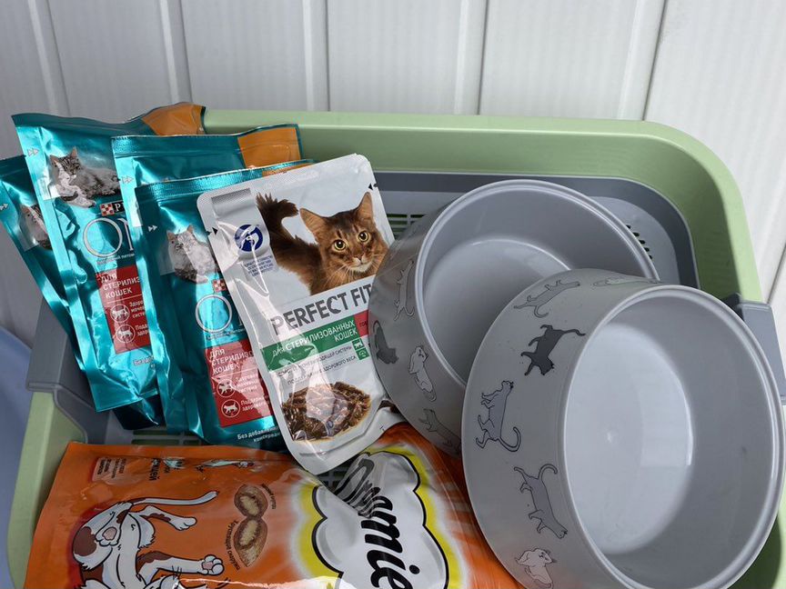 Новый Набор для котенка