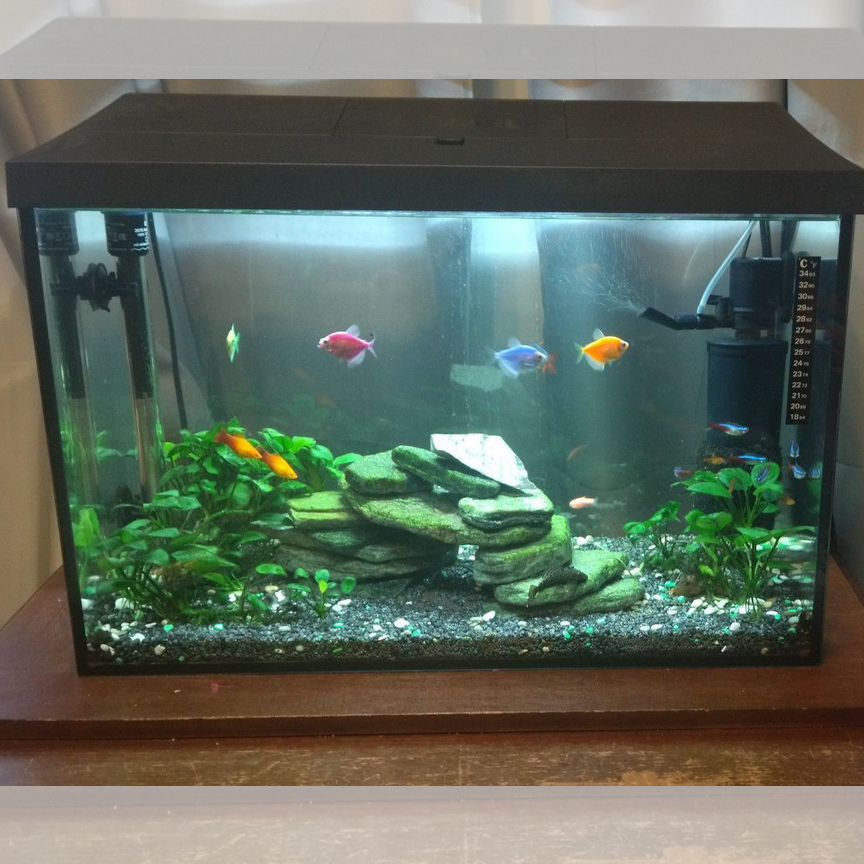 Аквариум с рыбками