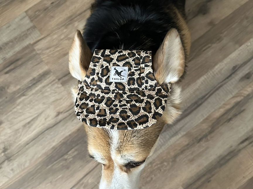 Кепка для собак размер M