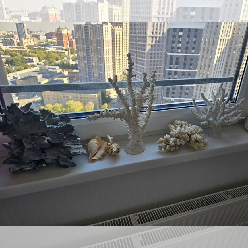 Оформление аквариума