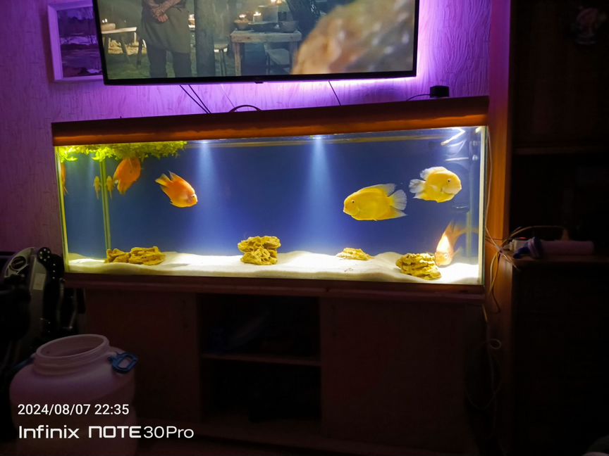 Украшение для аквариума