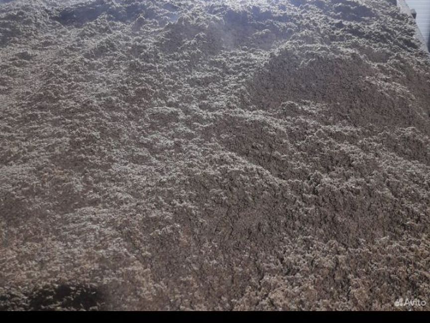 Пивная дробина закуп