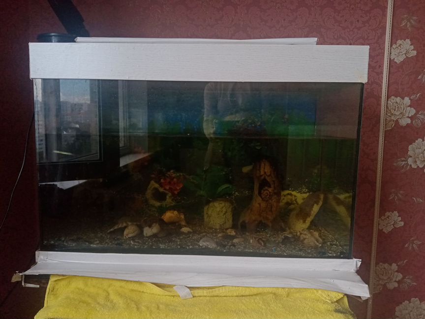 Аквариум (+песок, рыбки, декор)