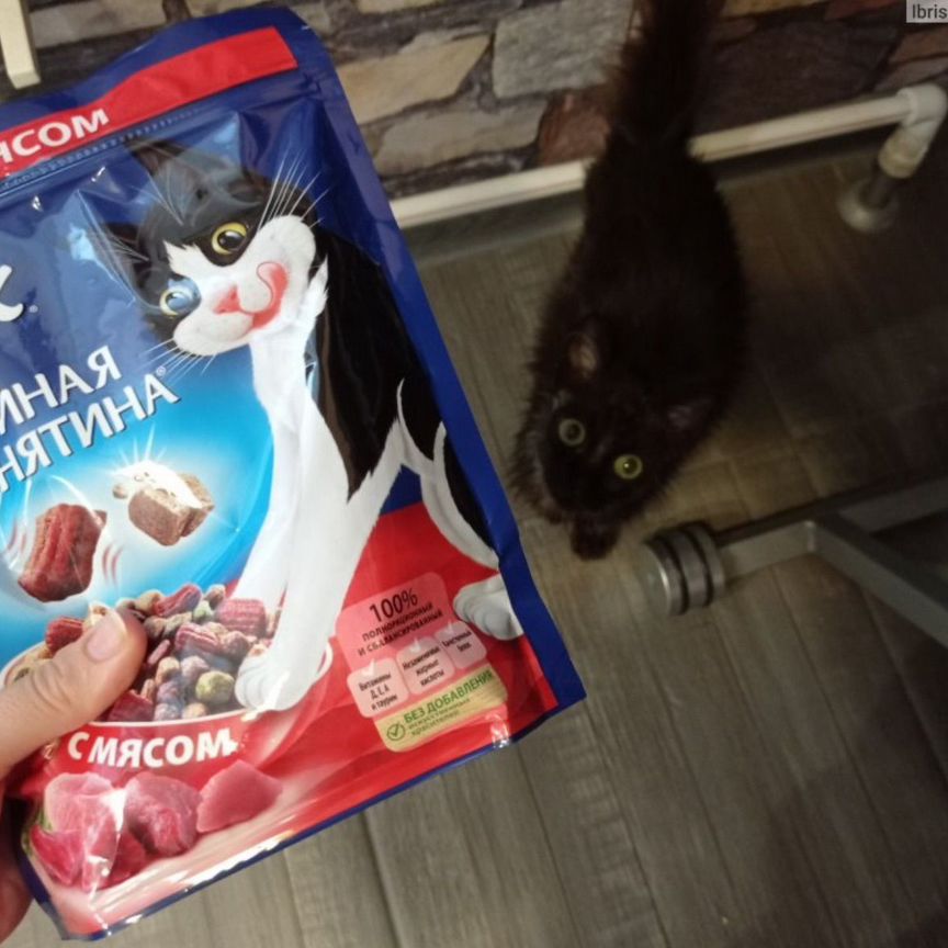 Корм для кошек Felix сухой