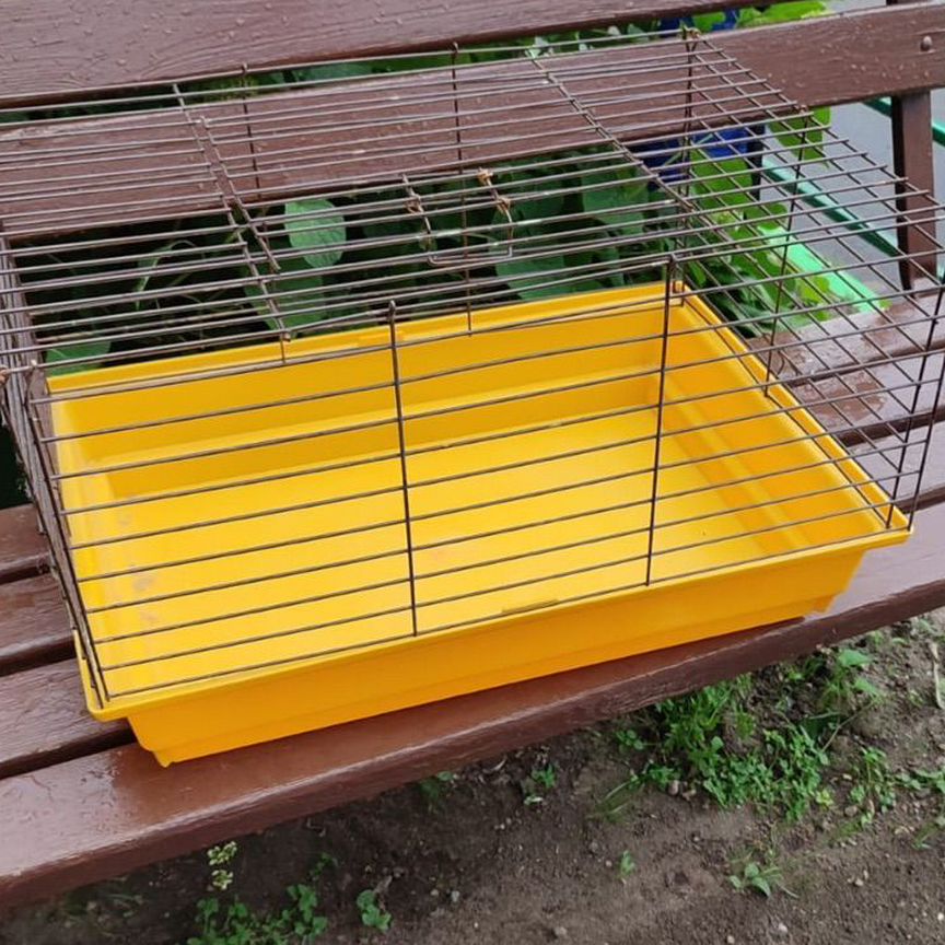 Клетка
