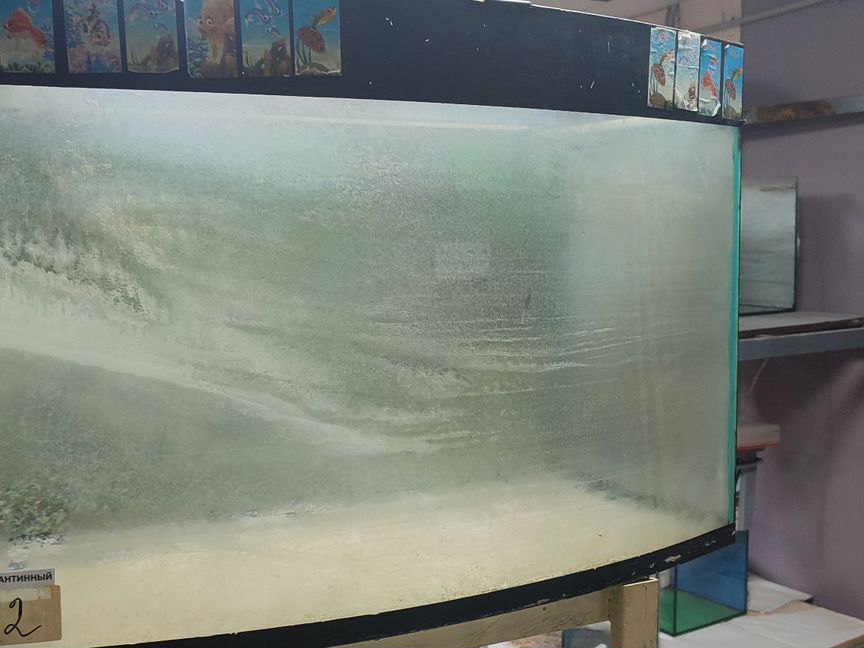 Аквариум телевизор 100 л