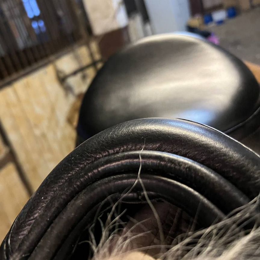 Седло для лошади универсальное