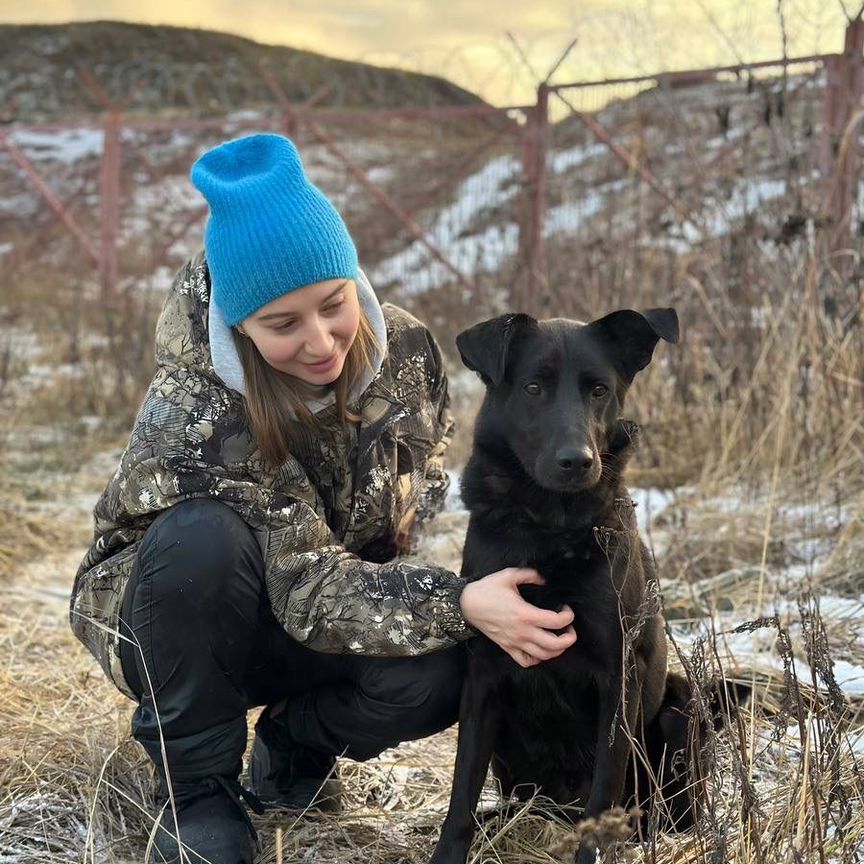 Собака Вуди из приюта в добрые руки