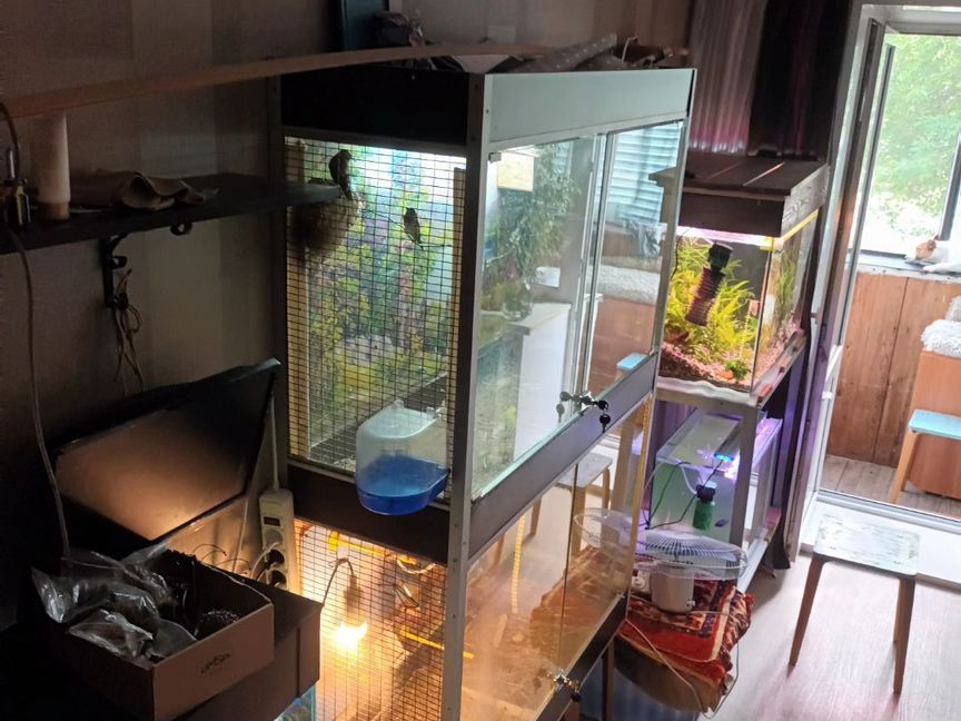 Бокс для птиц или грызунов