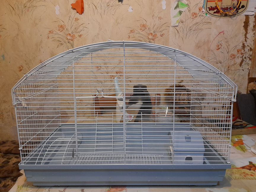 Клетка для грызунов большая