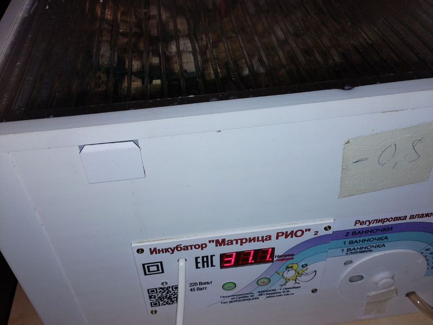 Инкубатор для яиц автоматический бу