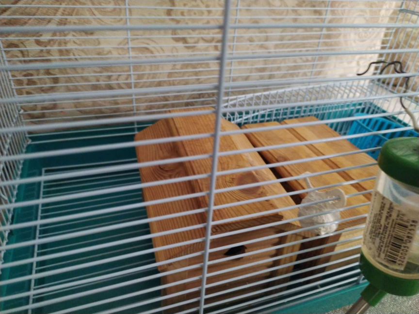 Клетка для грызунов большая