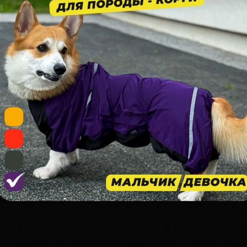 Дождевик для корги