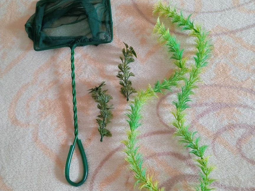 Сачок для аквариума, растения