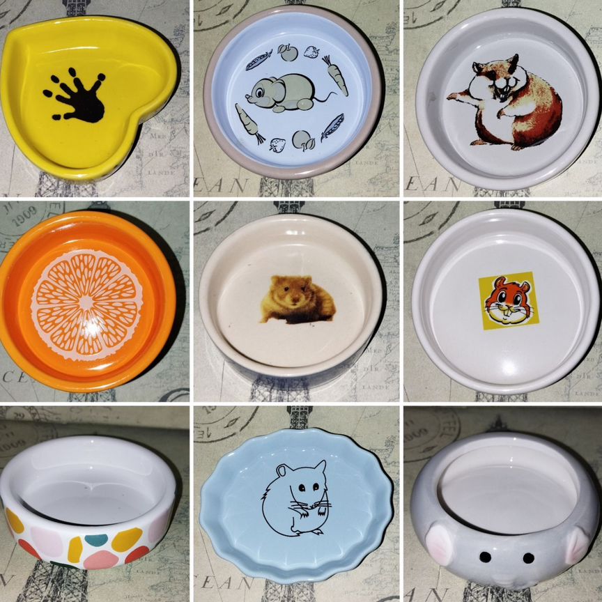 Миска для животных