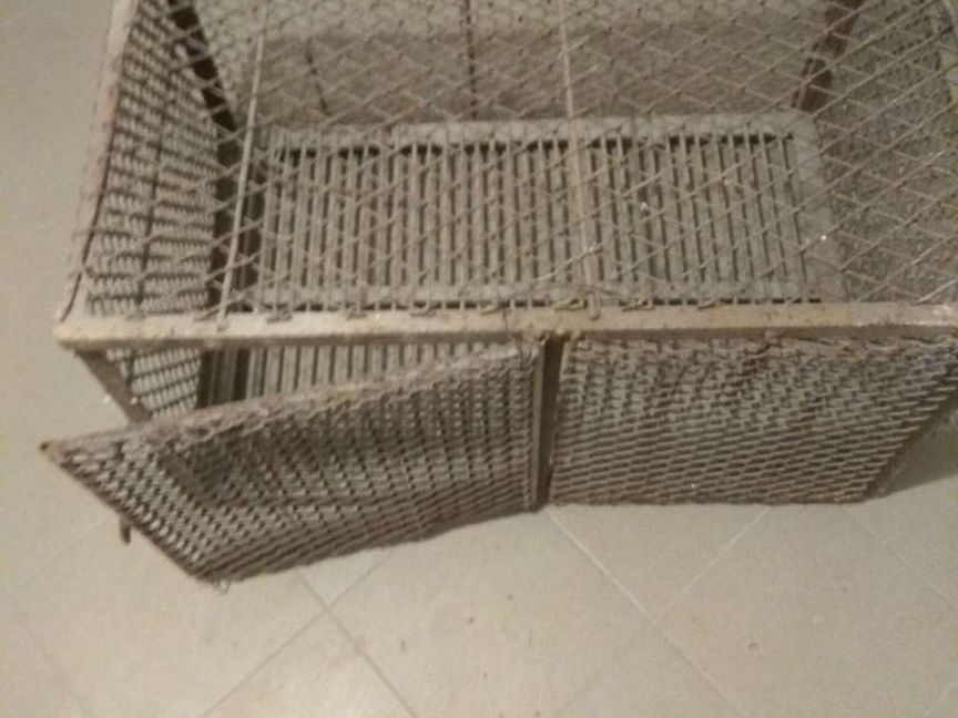 Клетка для кролика, нутрий