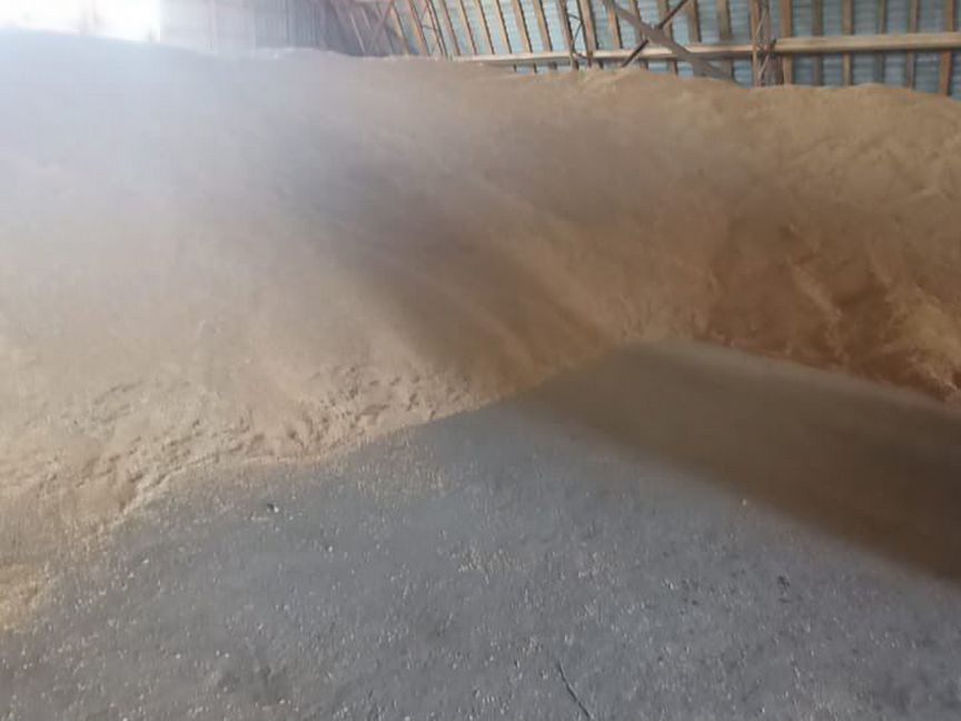 Зерно пшеница ячмень