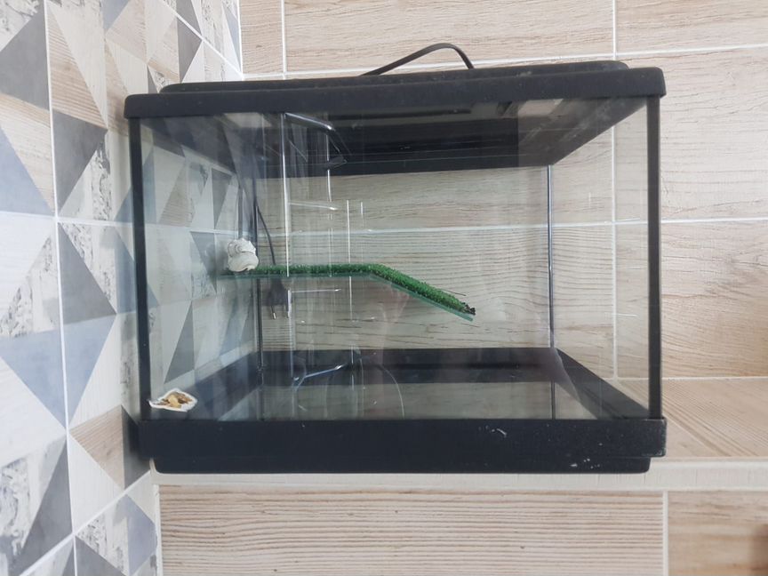 Аквариум для водной черепахи