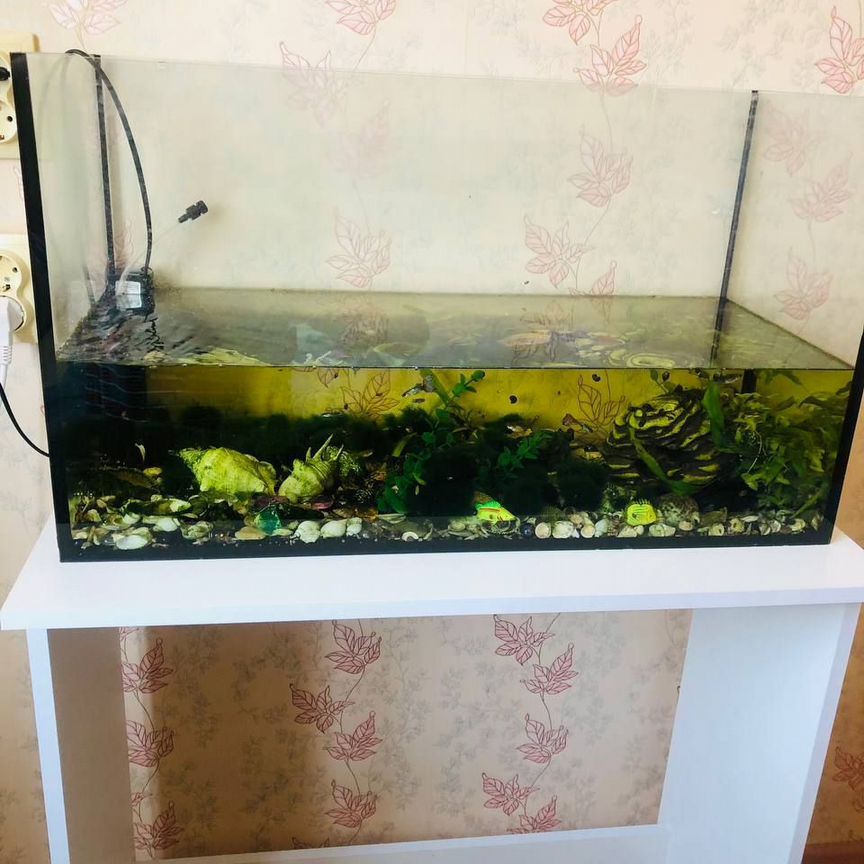 Аквариум 90 литров