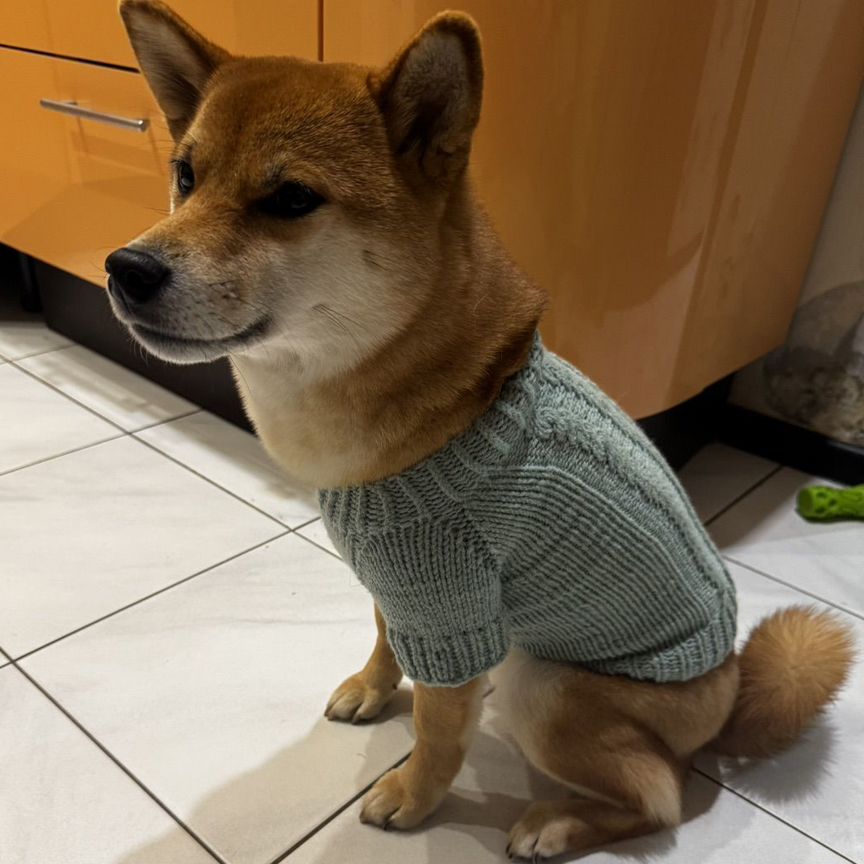 Свитер для собаки 40 см