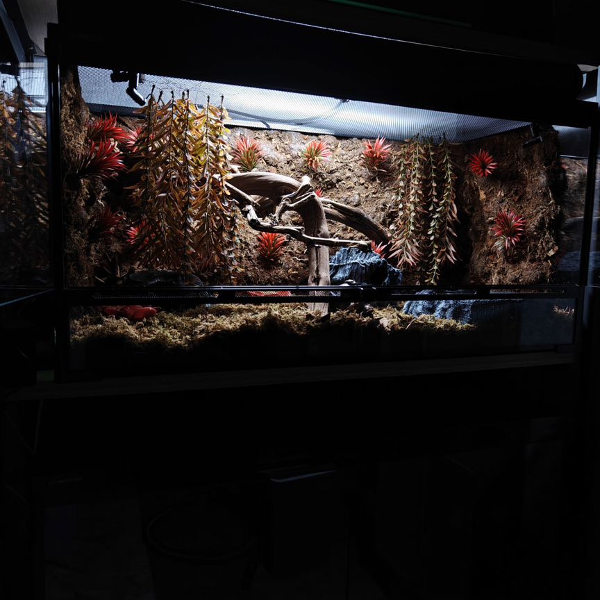 Оформление террариумов на заказ