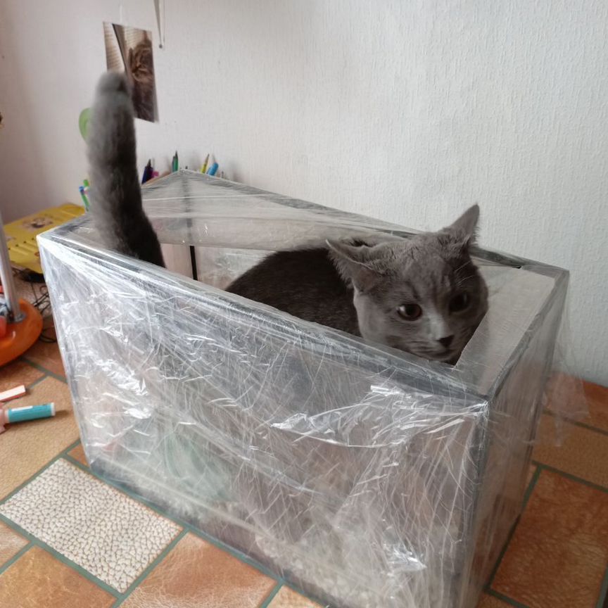 Аквариум 25 литров