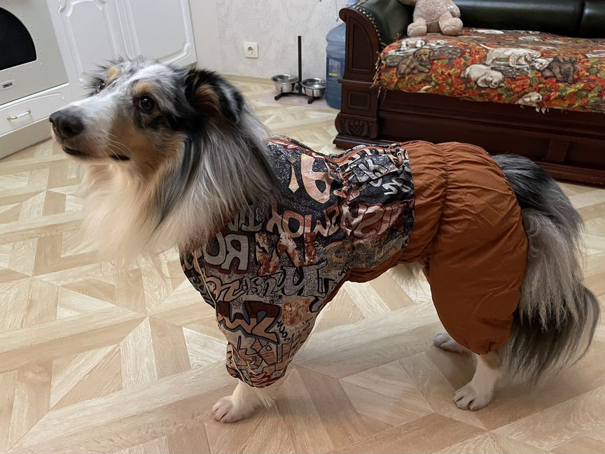 Комбинезон для собак For My Dogs