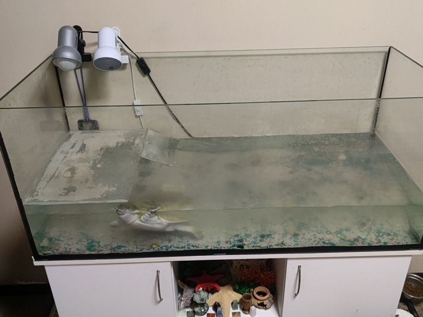 Аквариум 350 литров