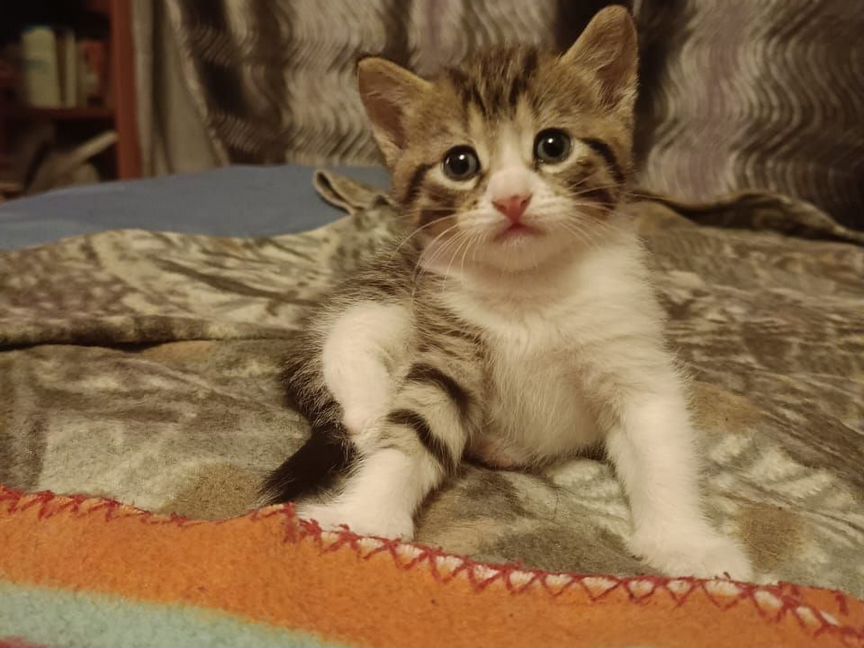 Кому нужно счастье