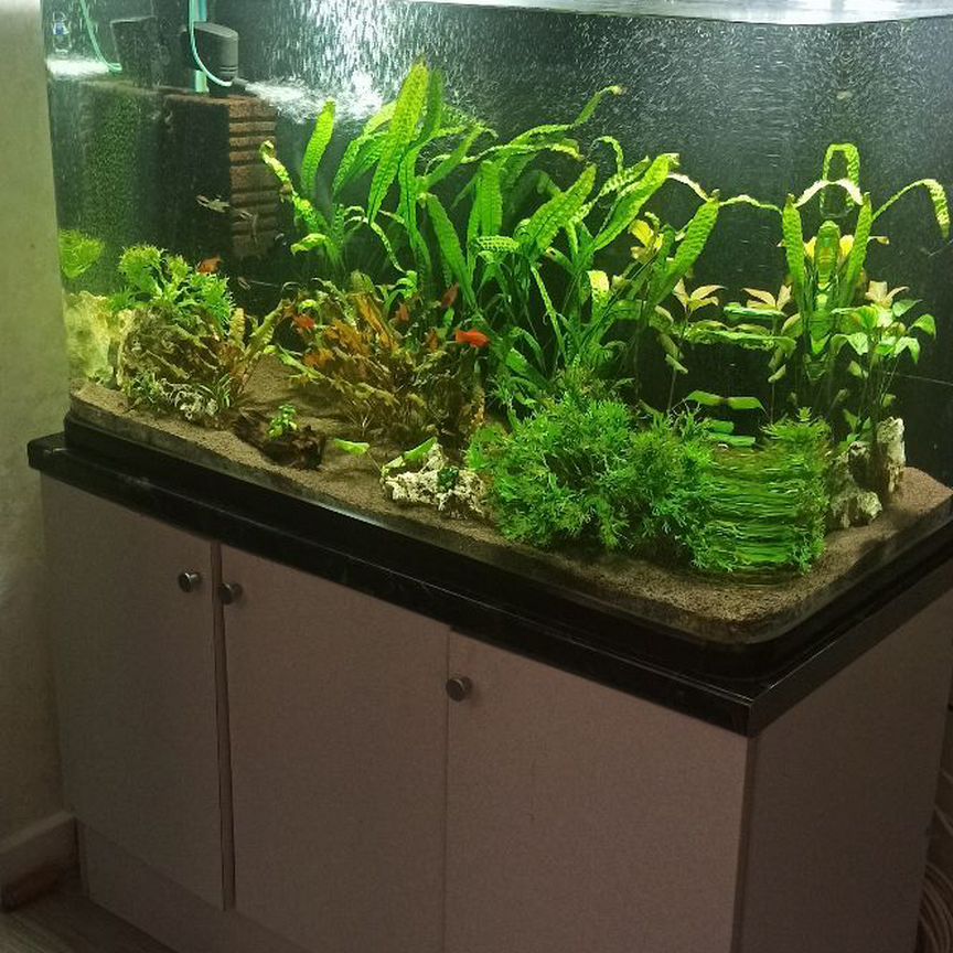 Аквариум с тумбой 300 литров