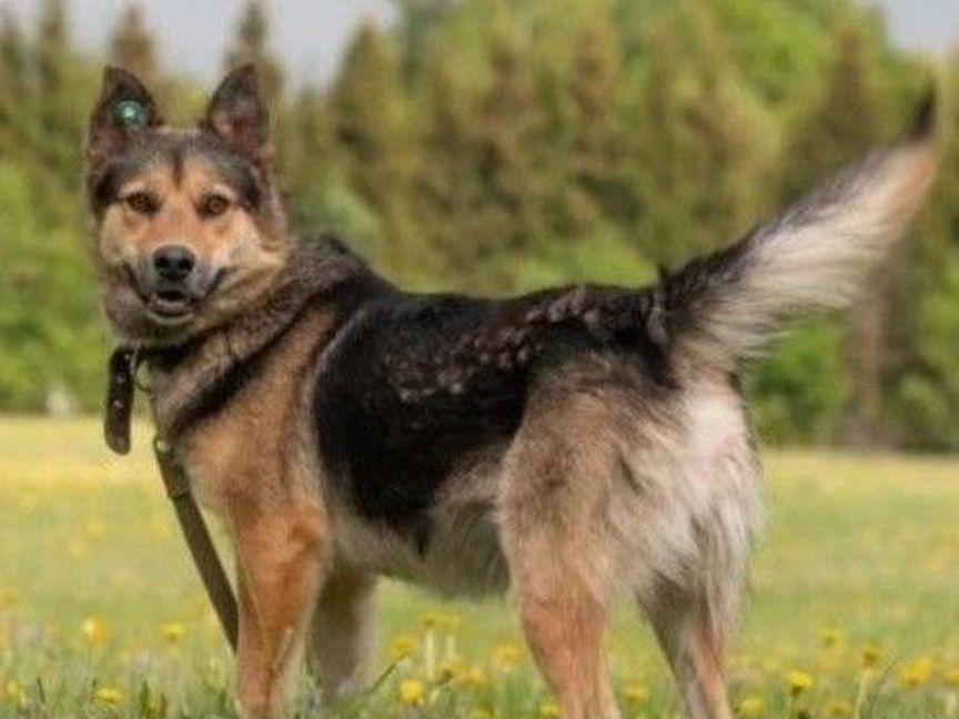 Само очарование Аксай ждет вас