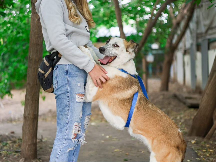 Лолита добрая солнечная девочка ждет родителей