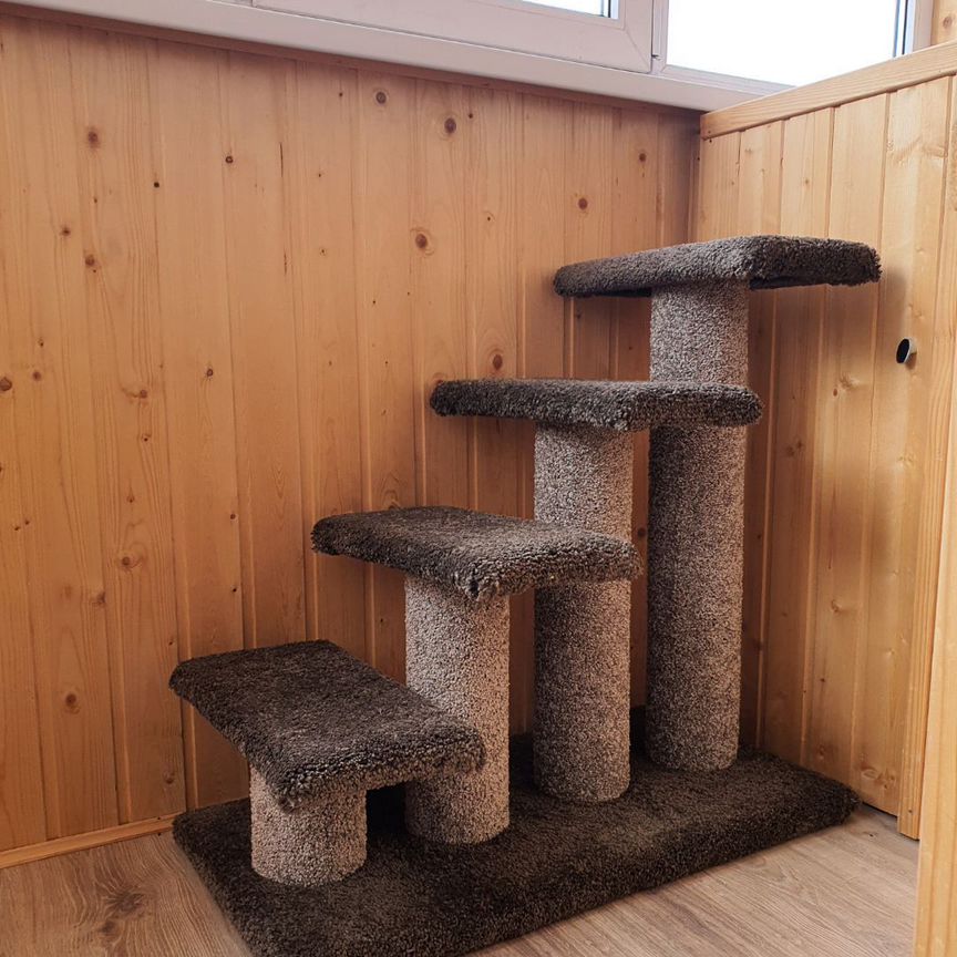Когтеточка лестница